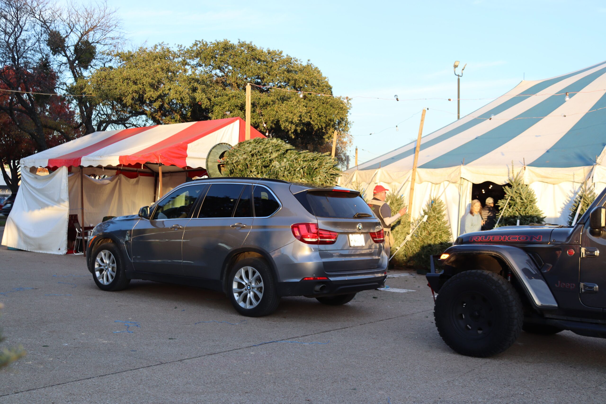 PATTON'S CHRISTMAS TREES CELEBRATES 50 YEARS OF BRINGING HOLIDAY JOY TO ...