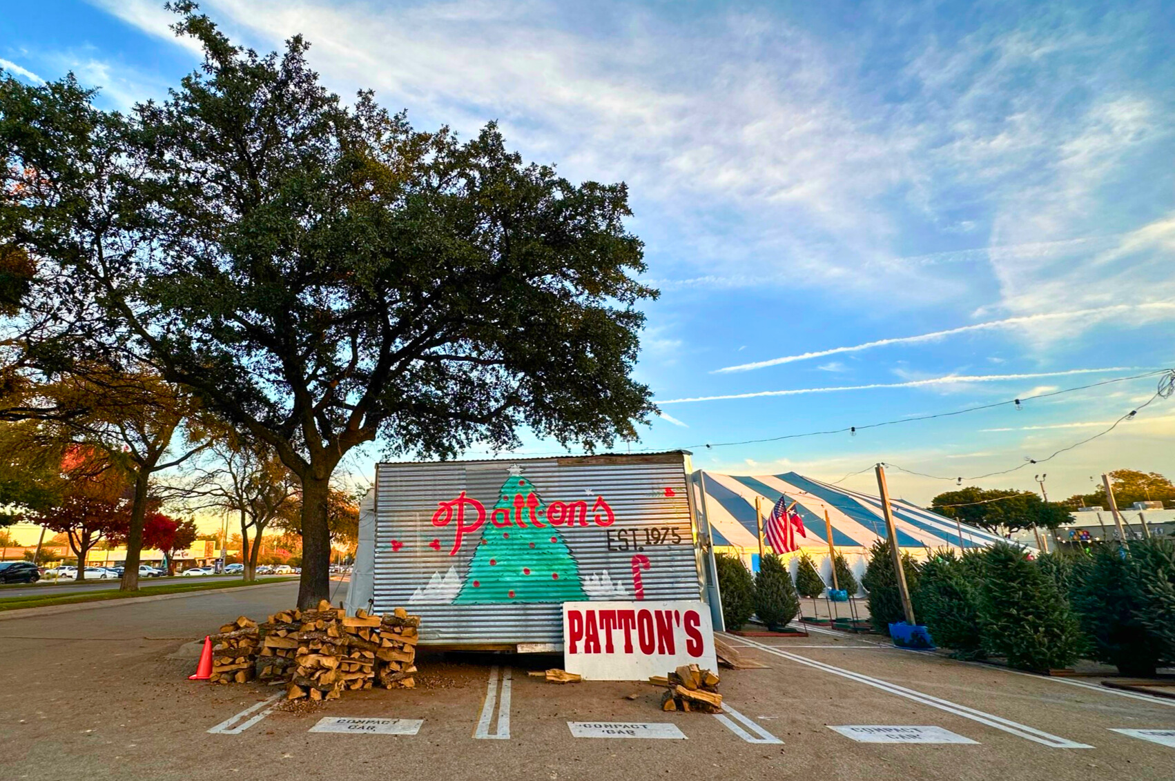 Patton's Real Christmas Trees - Patton’s Christmas Trees Dallas Real ...